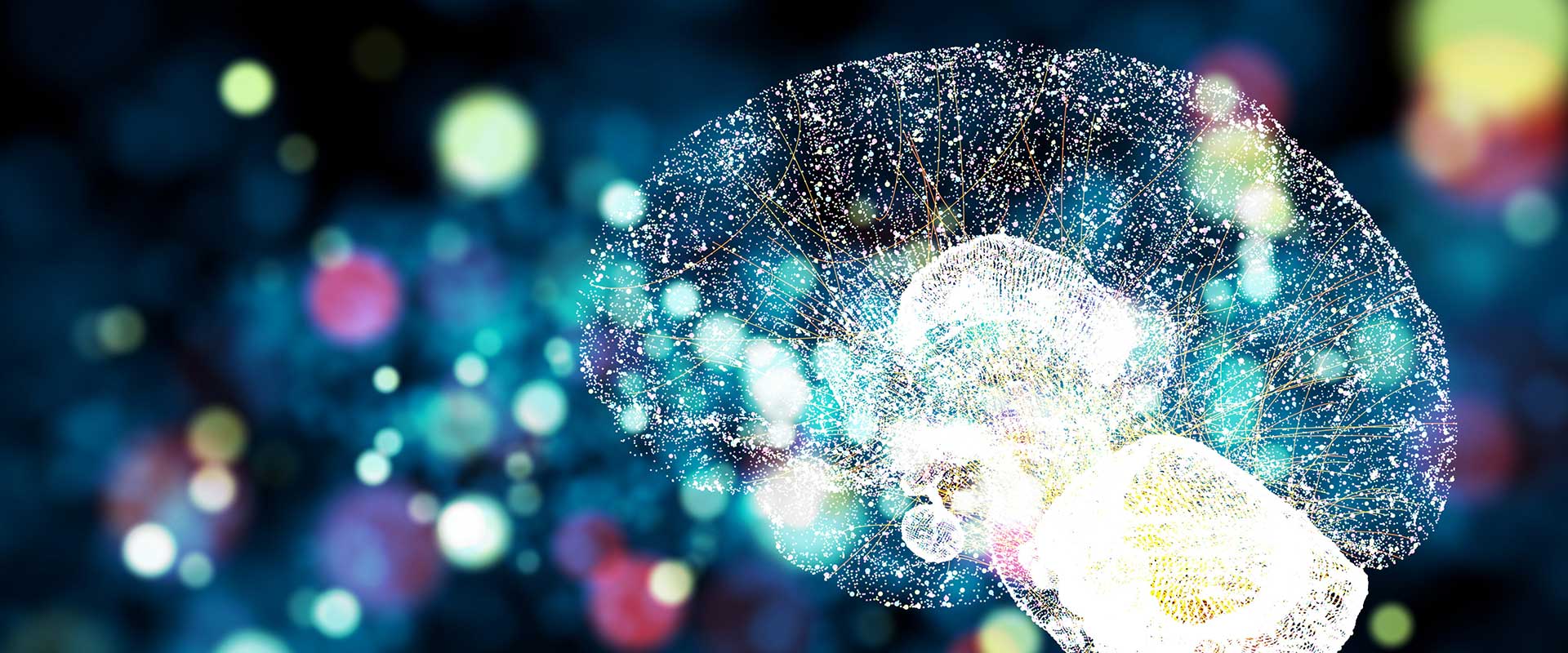 Publications by the Neuromodulation Division of the Semel Institute